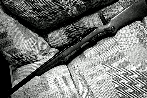 The 4 Best Marlin Model 60 Mods – Accessory Reviews 2016